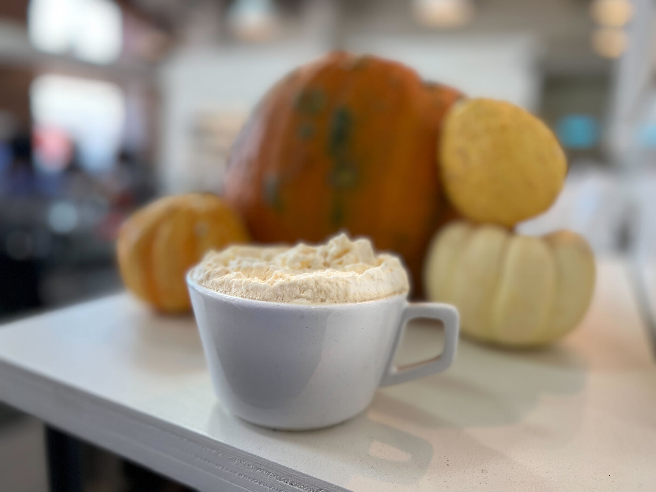 Cinderella | Avid Coffee